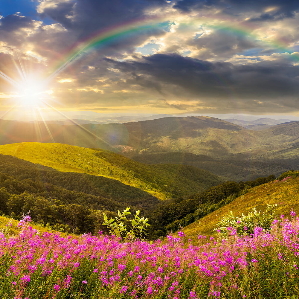 Self Realization Fellowship | Encinitas Temple