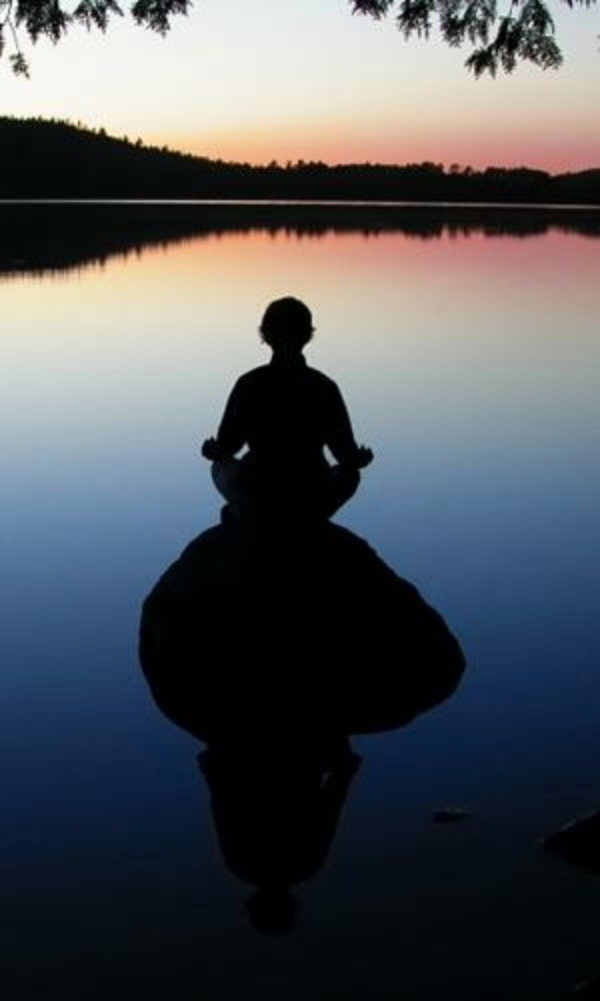 Self Realization Fellowship | Sabiduría sobre «el arte de vivir» > La…