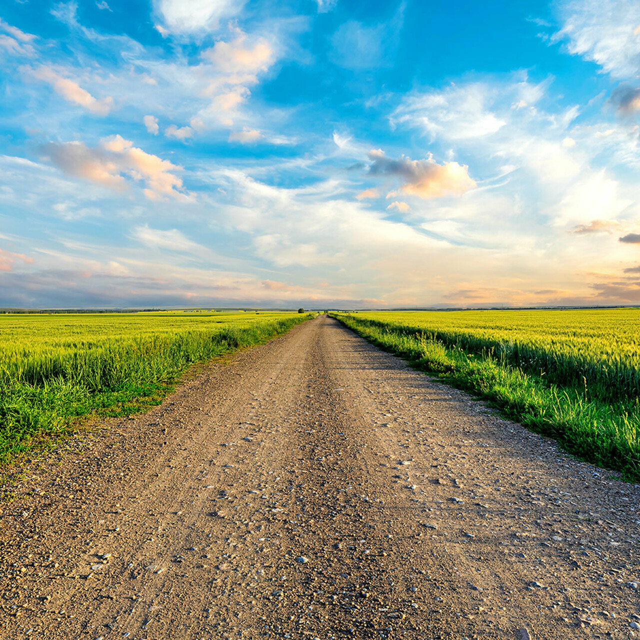 Self Realization Fellowship | Locations > Temples, Retreats, Ashrams